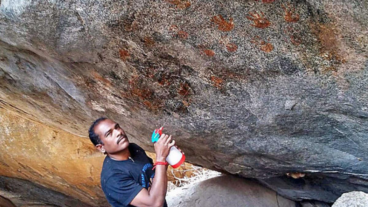 Neolithic rock paintings found in Mahabubnagar - The Hindu