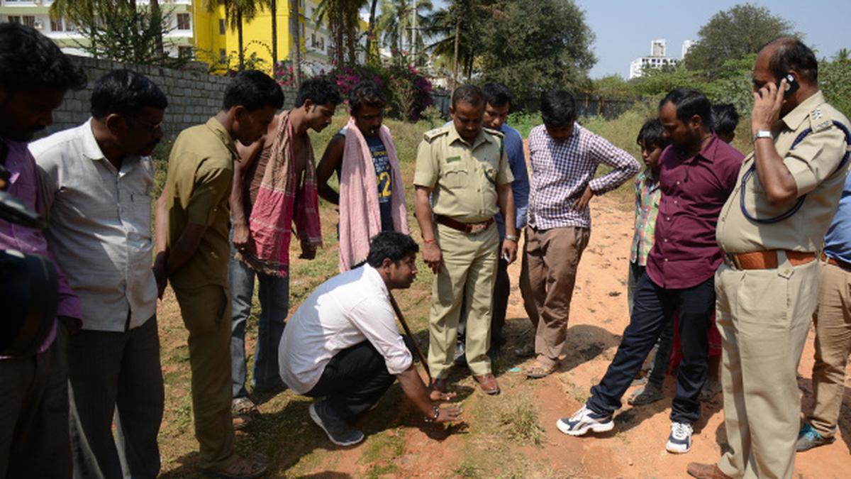 Whitefield gripped by leopard rumours - The Hindu