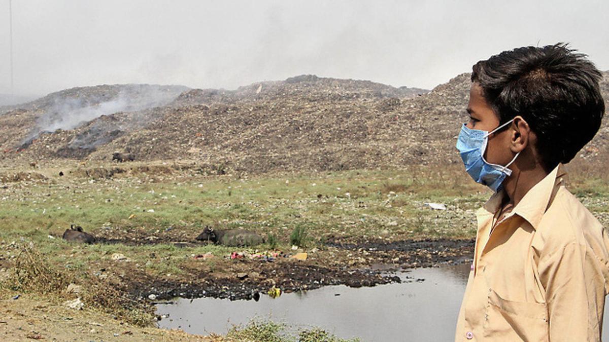 HC stays new constructions at Deonar dumping ground - The Hindu