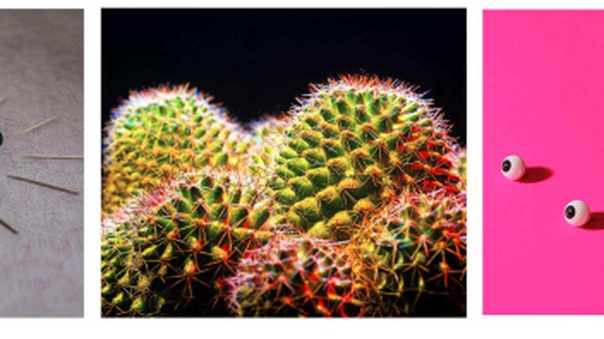 A life in pixels - The Hindu