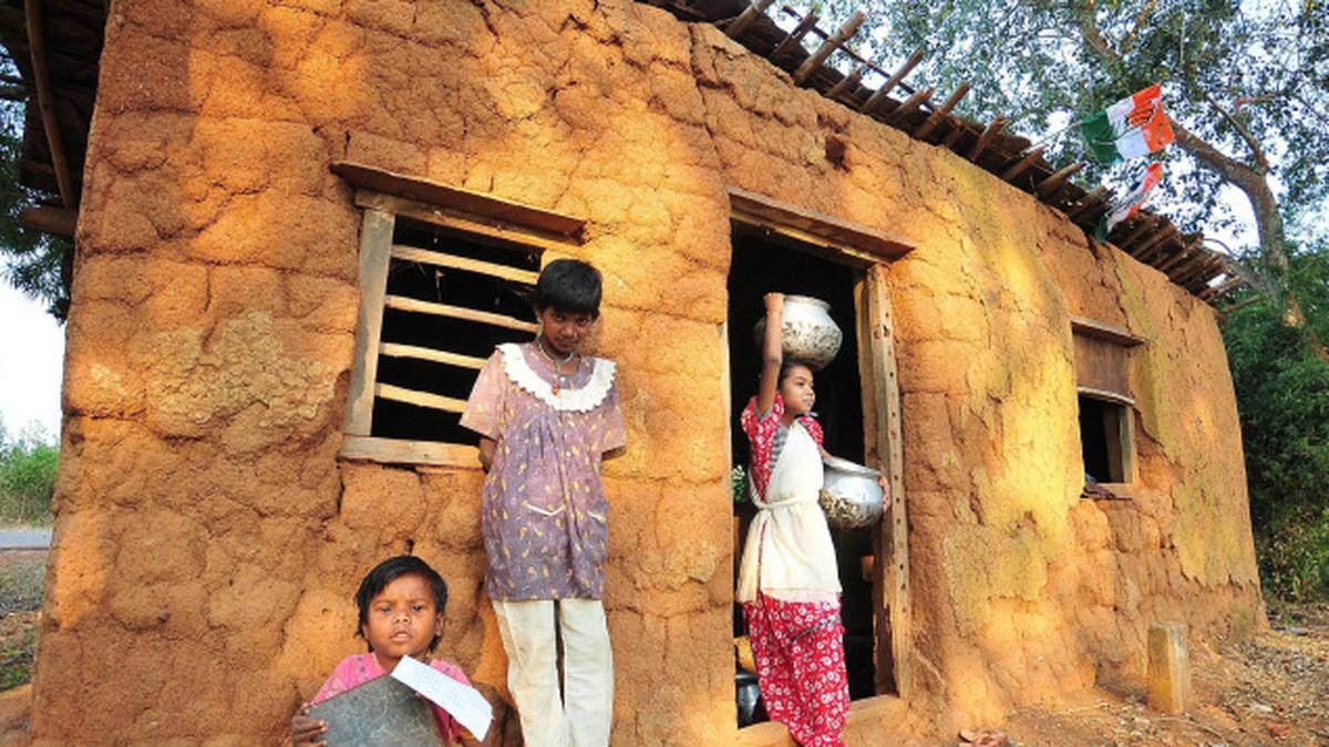 Felix Padel reviews Woodsmoke and Leafcups - The Hindu