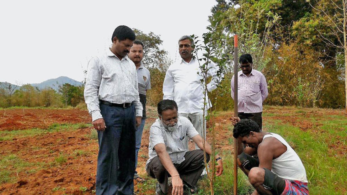 Araku apples likely to hit market in two years, say CCMB scientists ... Araku apples likely to hit market in two years, say CCMB scientists ...