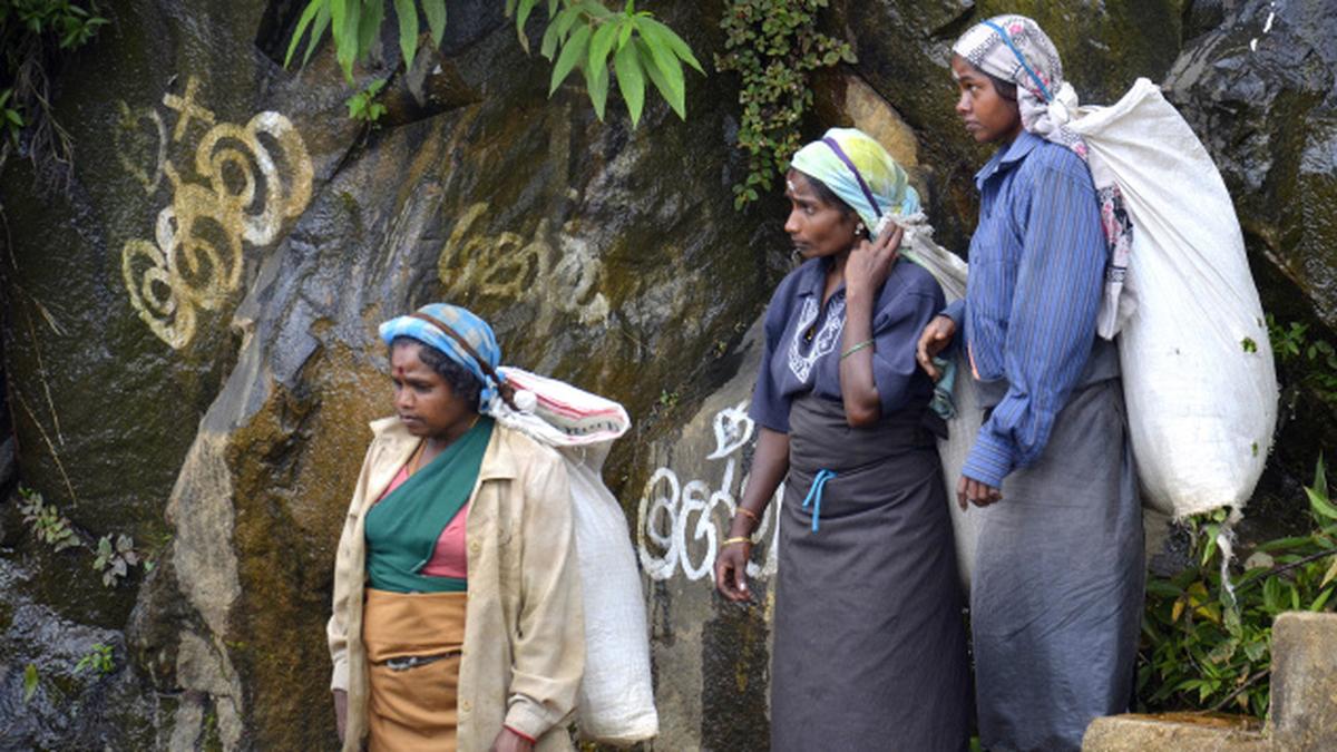 The ghosts of the colonial past - The Hindu