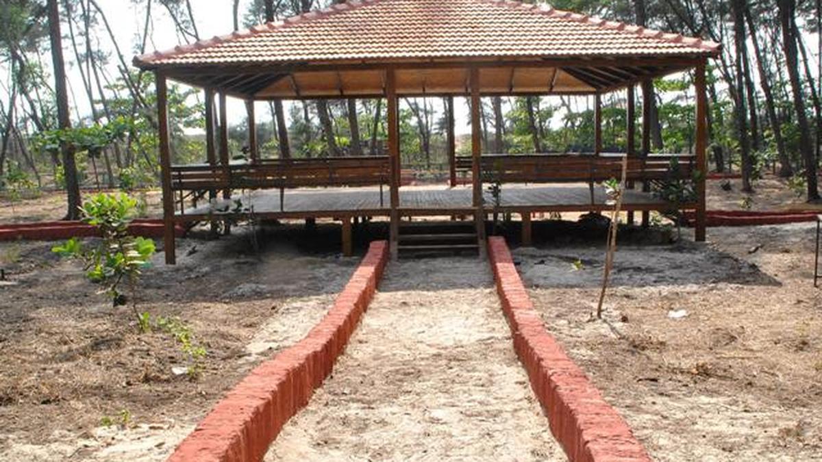 Tree Park on Tannirbavi beachfront set to charm all - The Hindu