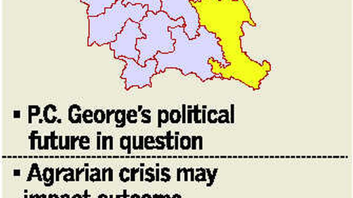 Poonjar packs curiosity - The Hindu