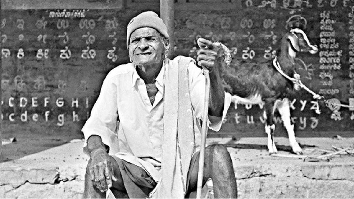 ‘Thithi’ lone star at 63rd national awards - The Hindu