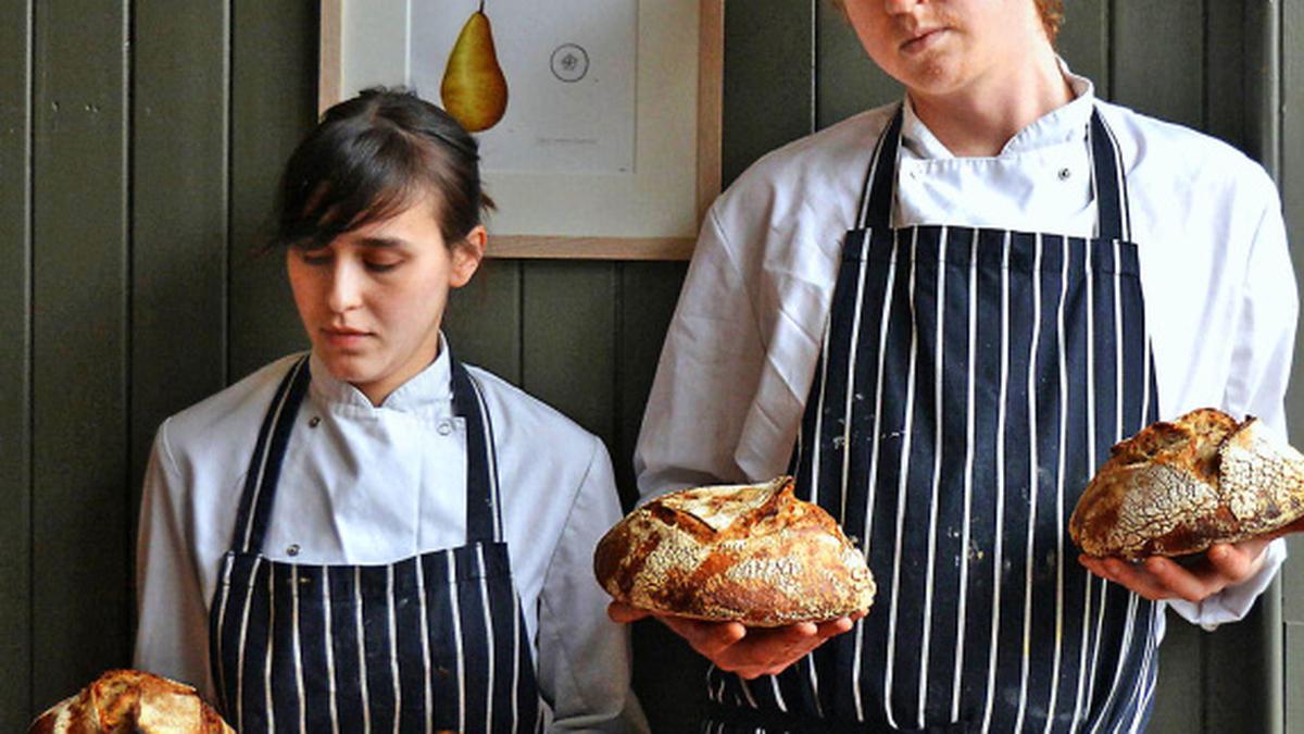 Where art, science, and food collide - The Hindu