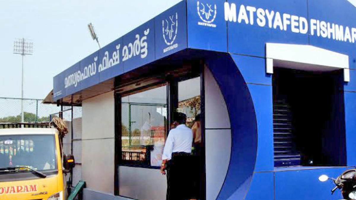 Matsyafed’s new fish stall opened at Palayam - The Hindu
