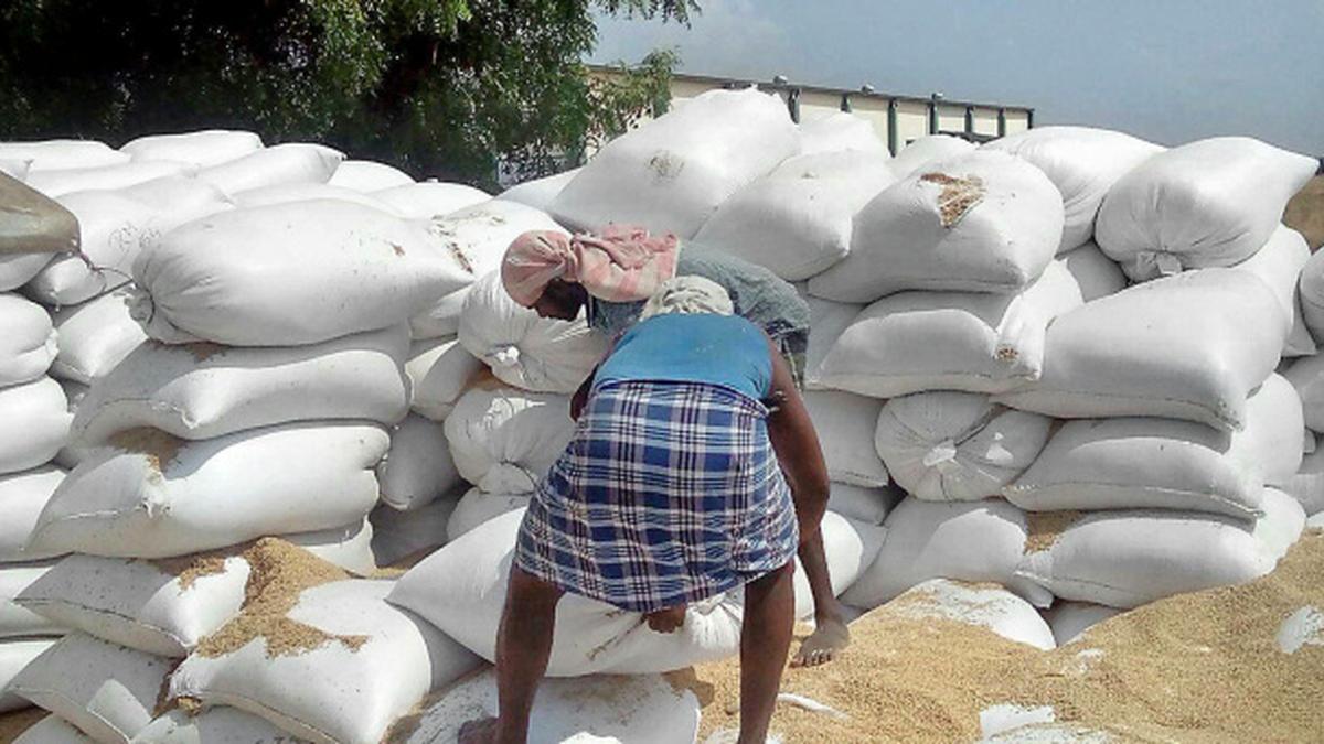 Tonnes of paddy goes waste at paddy procurement centre - The Hindu