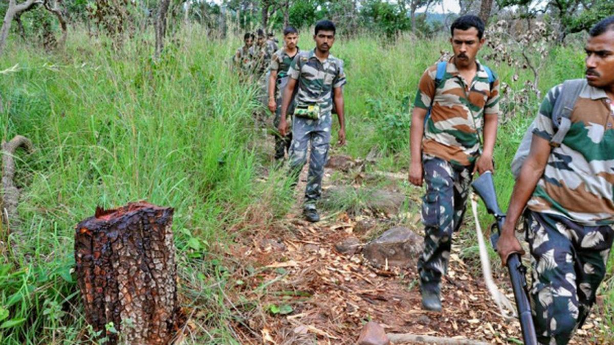 Encounter has no impact on felling of red sanders trees - The Hindu