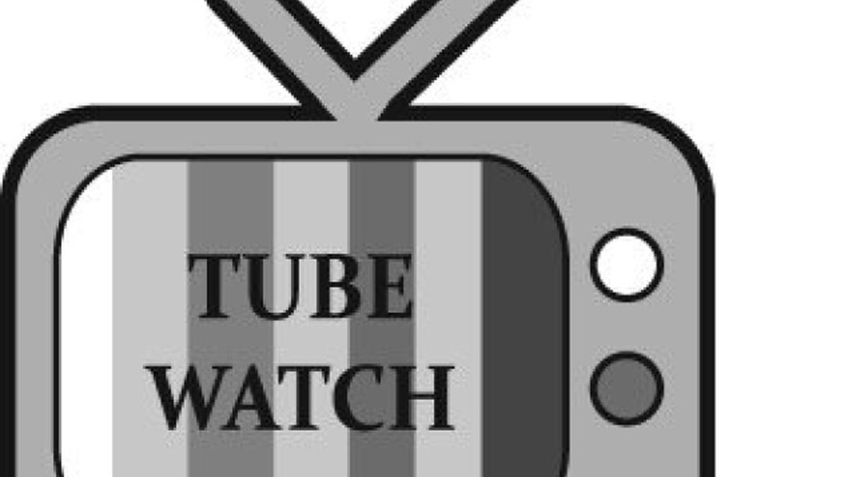 Silver screen stars hog television limelight - The Hindu