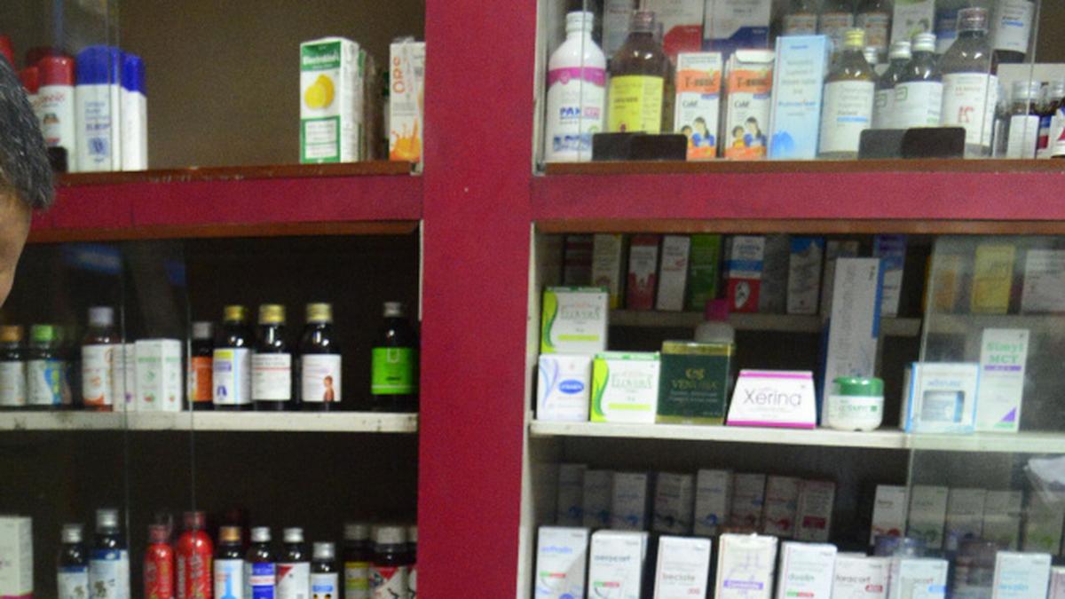 Two Indian generics makers end battle to copy drugs - The Hindu