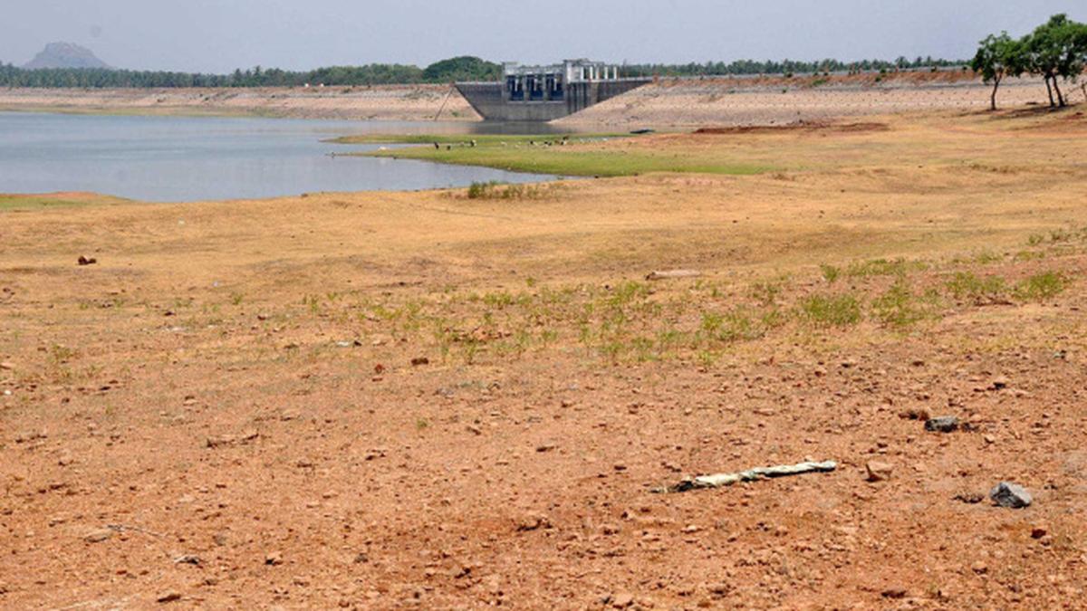 Palakkad on the brink of a water crisis - The Hindu