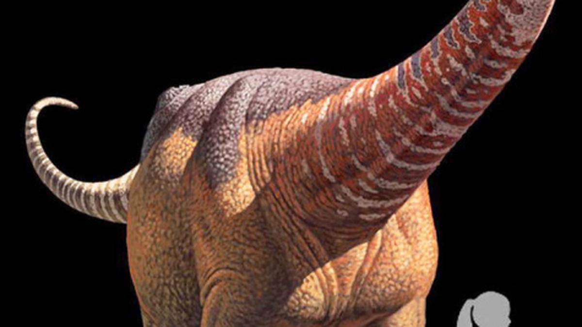 Independence comes early for Rapetosaurus dinosaur - The Hindu