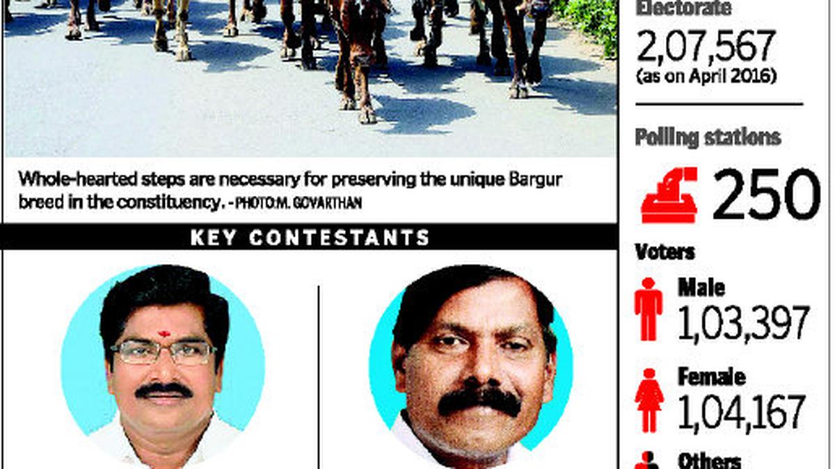 Neglect of Bargur hills a vital issue in Anthiyur - The Hindu