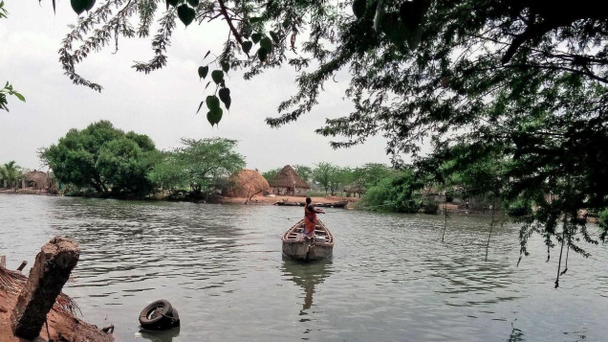 Merger issue returns to haunt Medaline Island - The Hindu