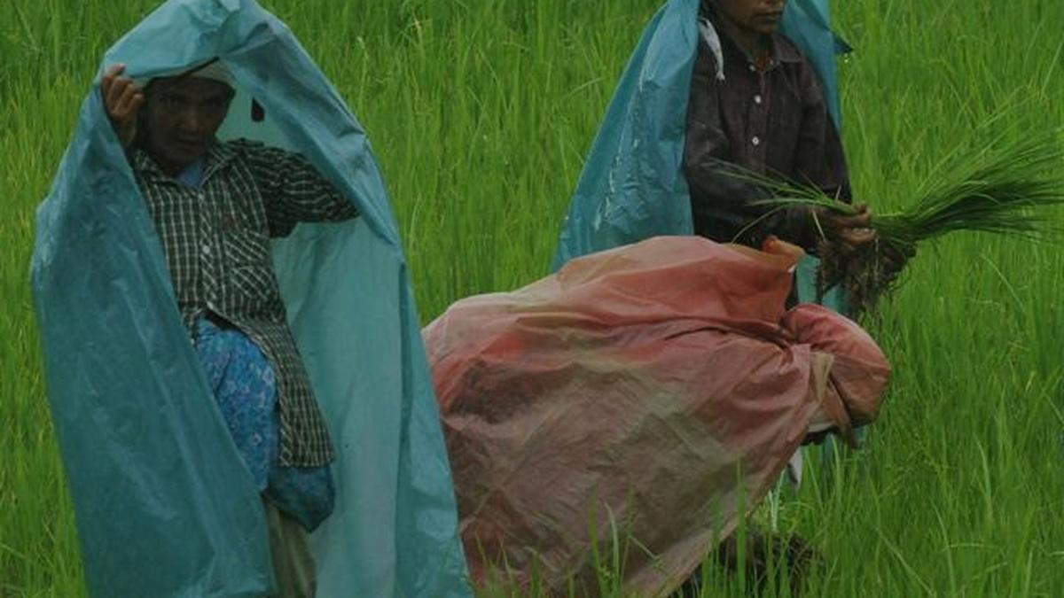 Monsoon onset over Kerala to be delayed - The Hindu