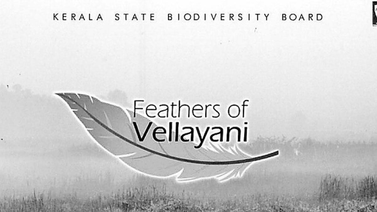 Birds of Vellayani captured in a book - The Hindu