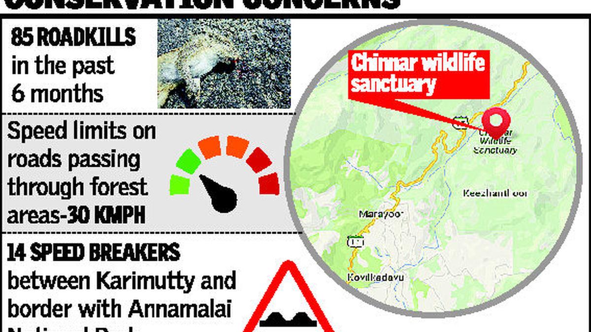 Roadkills in Chinnar sanctuary on the rise - The Hindu