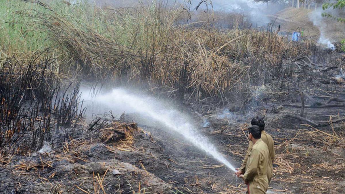 Massive fire at shrubland - The Hindu