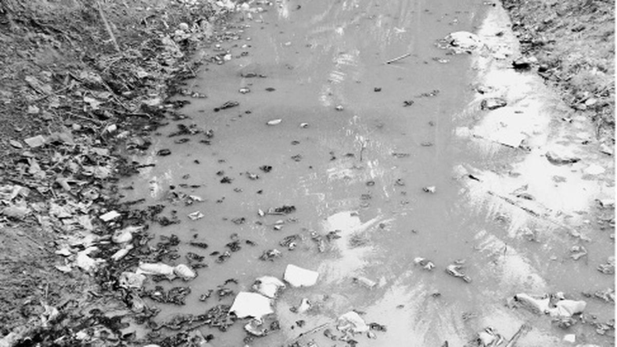 Water pollution a perennial problem in Konaseema region - The Hindu