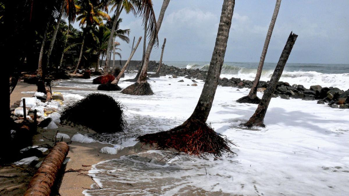 Chellanam, a village at the mercy of the sea - The Hindu