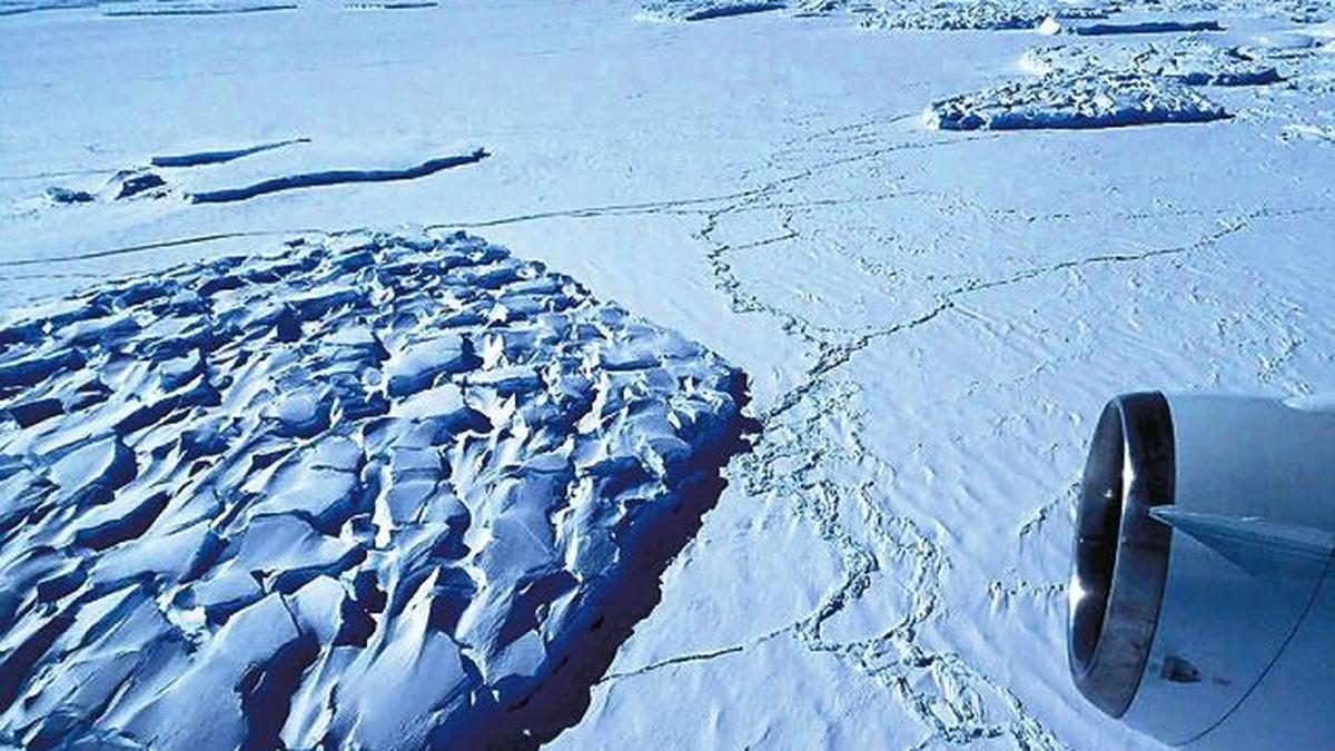 Why sea ice cover around Antarctica is rising - The Hindu