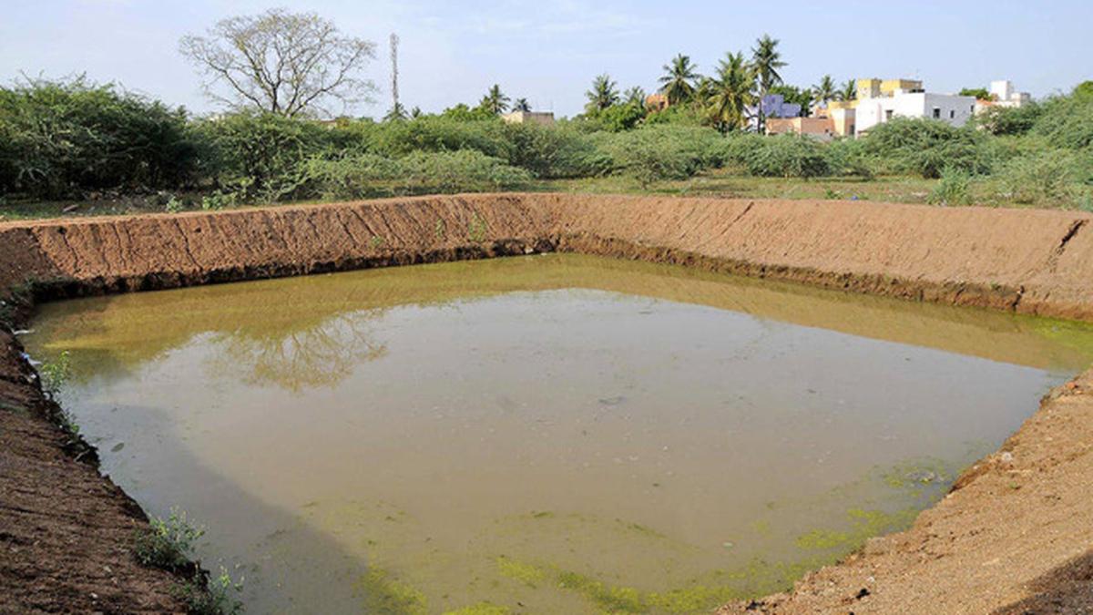 Residents hail revival of suburban ponds - The Hindu