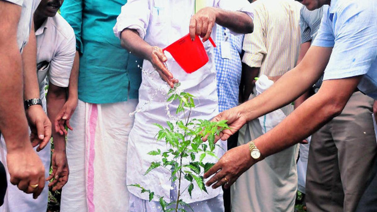 Tree-planting drive marks Environment Day fete - The Hindu