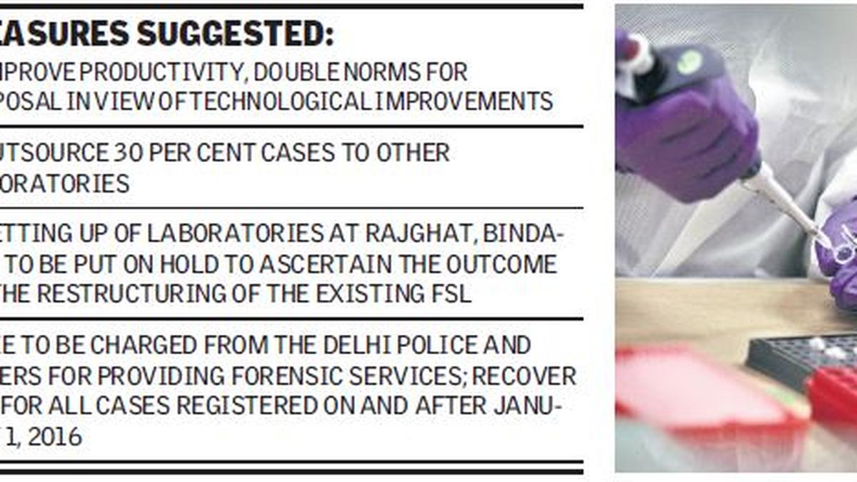Battling backlog, Rohini forensic lab to be revamped - The Hindu