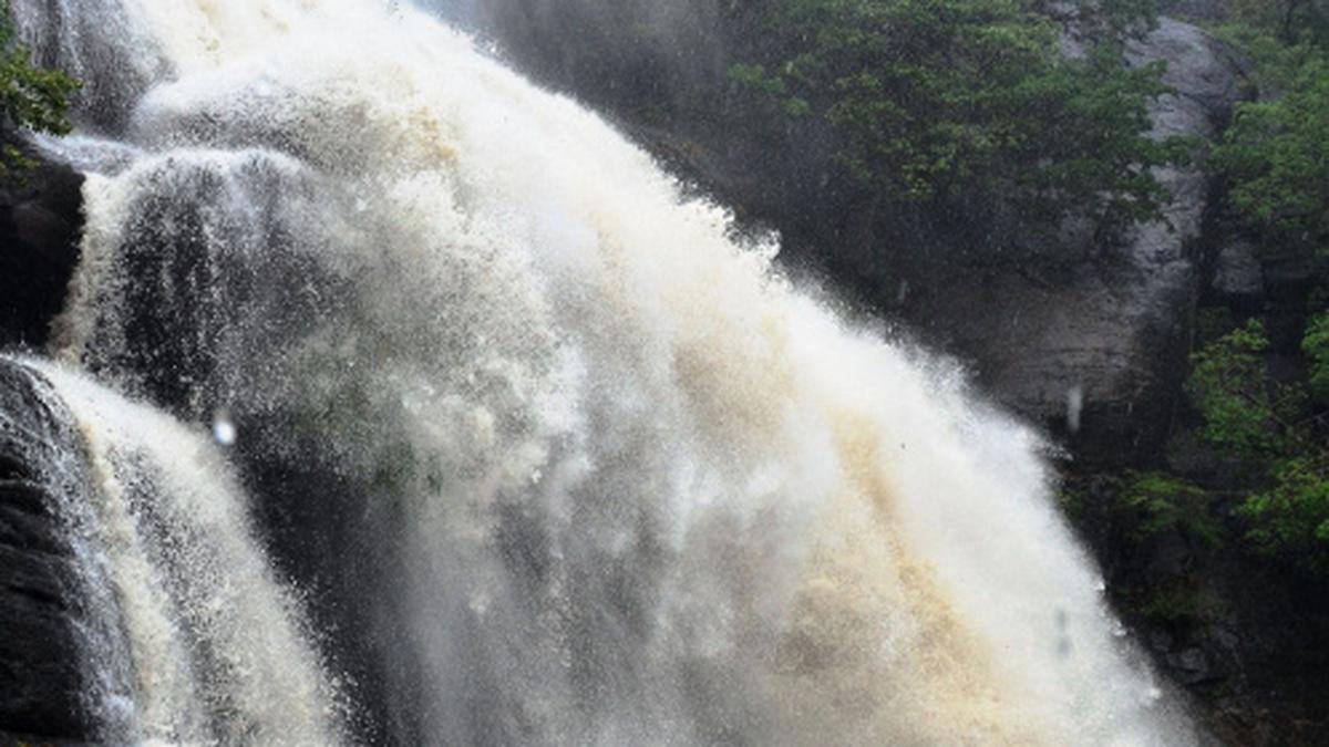 Monsoon arrives, bringing cheer - The Hindu