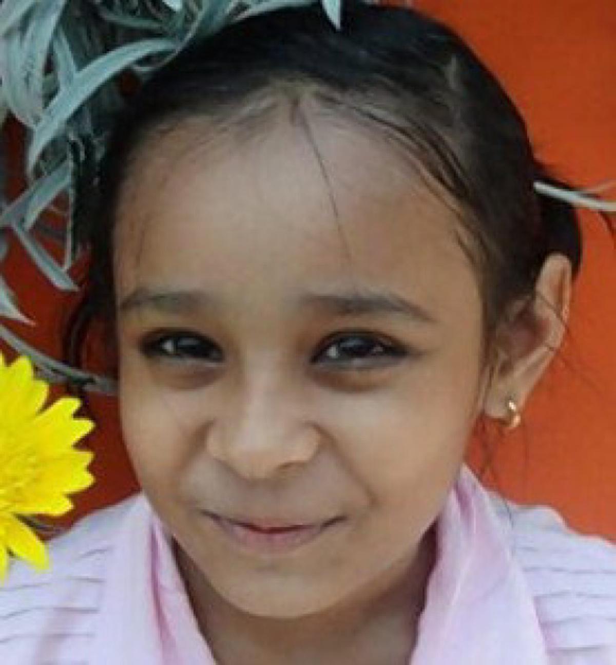 Drawings from India for Scrapbook - The Hindu