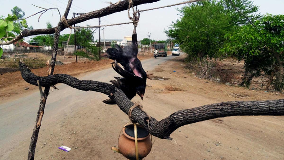 Explained: What are the laws against black magic, superstition in India ...