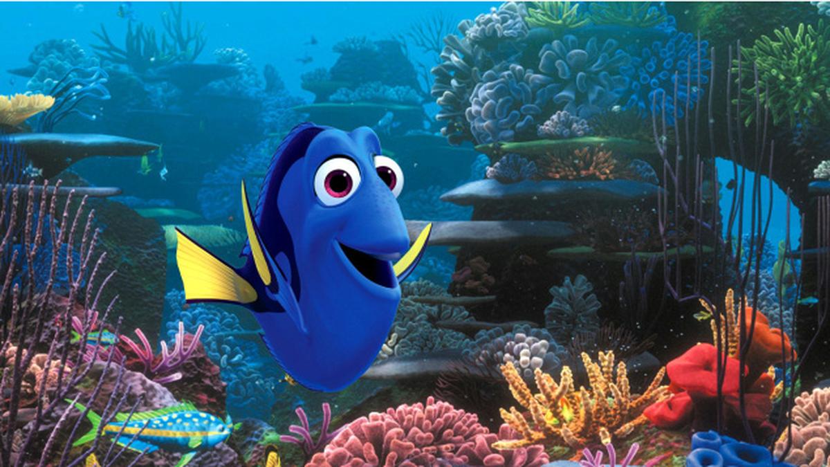 An unforgettable fish called Dory - The Hindu