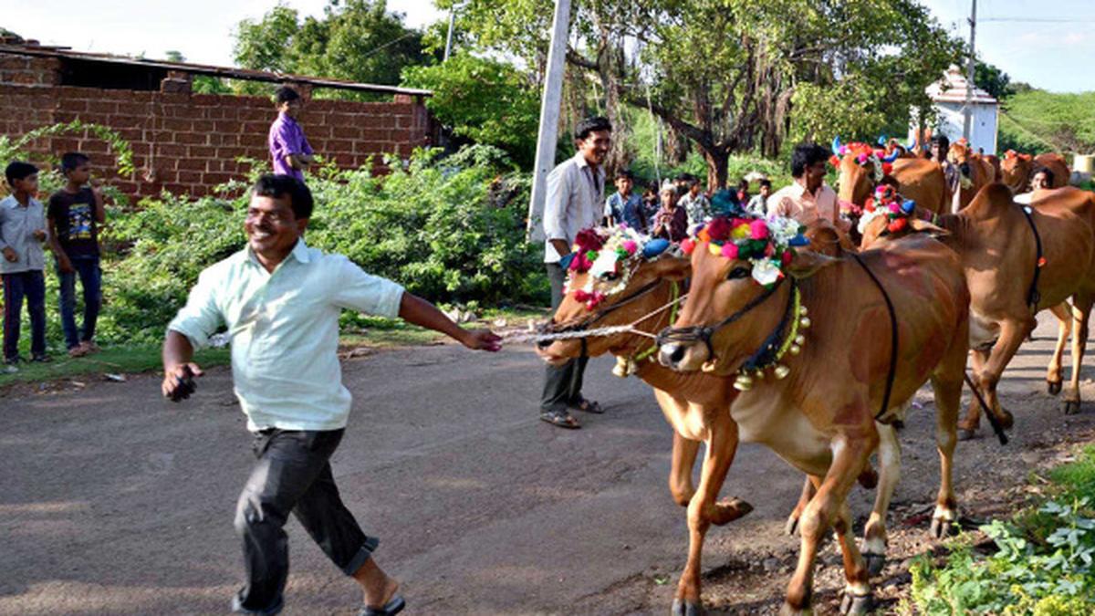 Kara Hunnime celebrated in Bidar - The Hindu