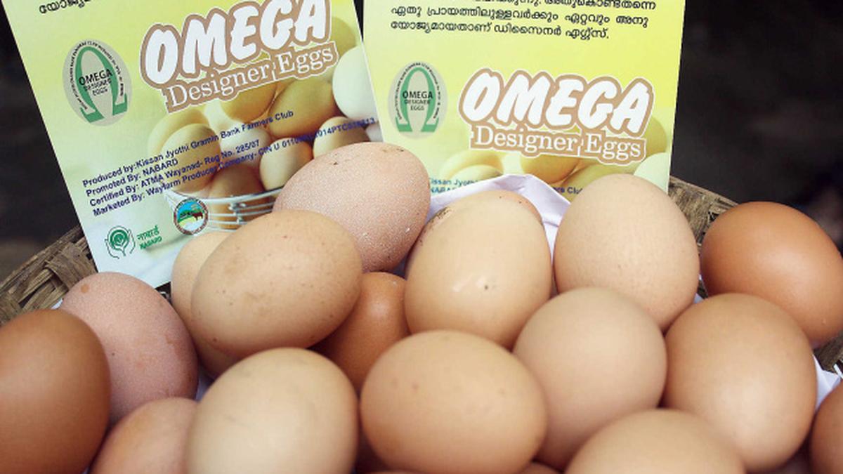 Designer eggs sans cholesterol concerns - The Hindu