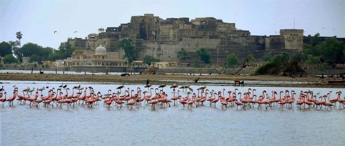 Day in pictures - June 23, 2016 - The Hindu