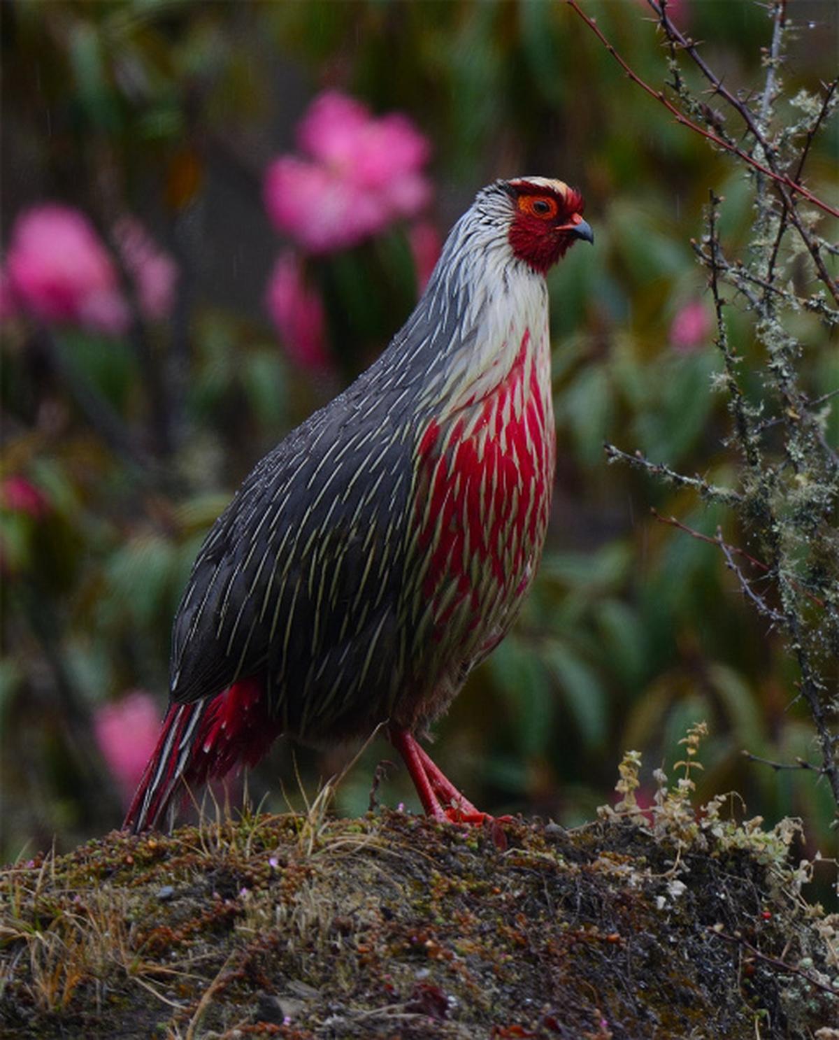 Four photographers zoom in their specialisations and a few tricks of ...