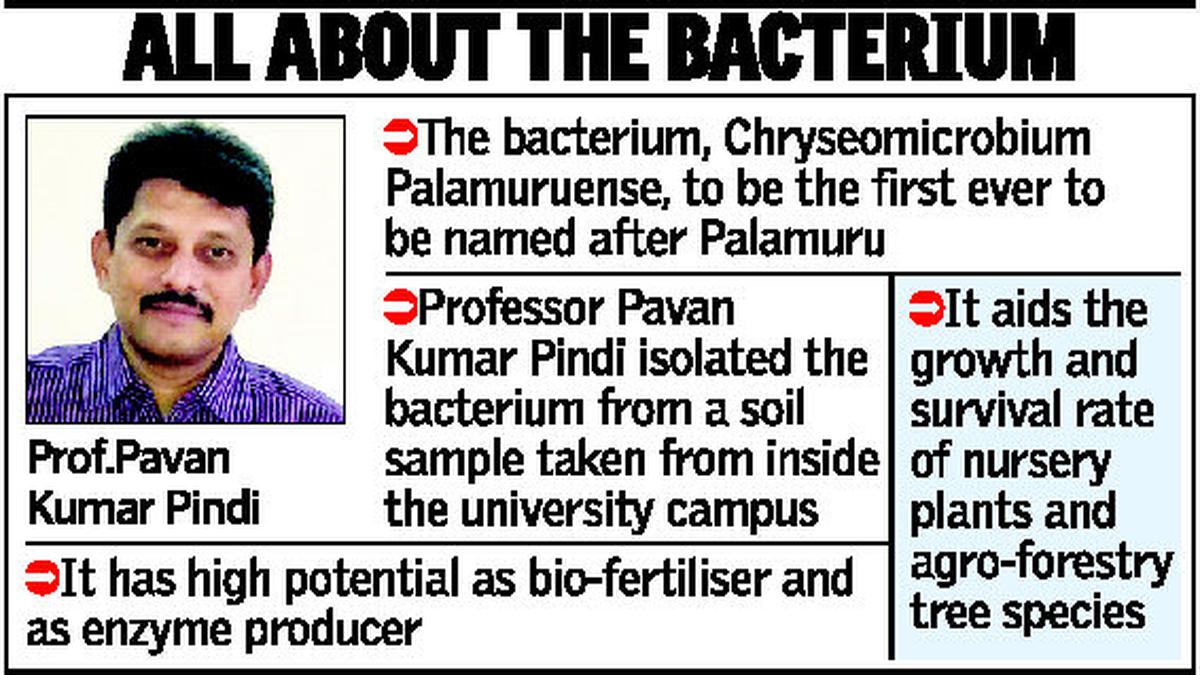 Discovery of new bacterium brings laurels to Palamuru University - The ...