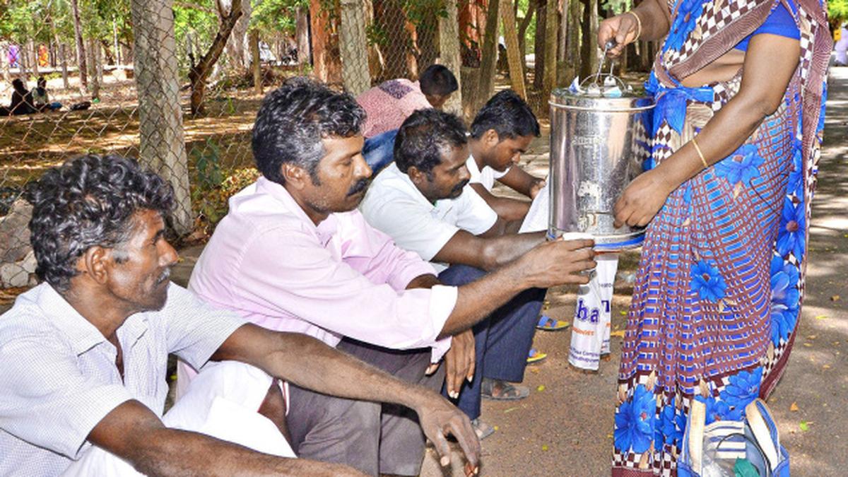 Life is not all that sweet to this ‘paruthi paal’ seller - The Hindu