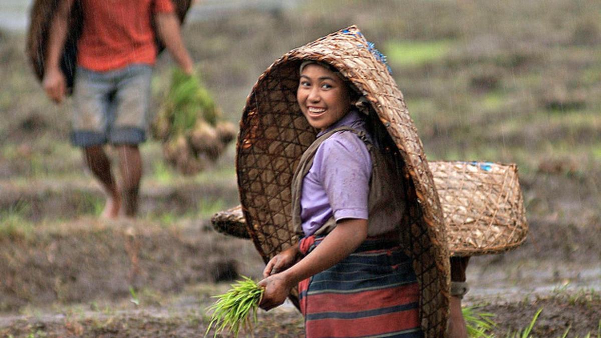 The Meghalaya example - The Hindu