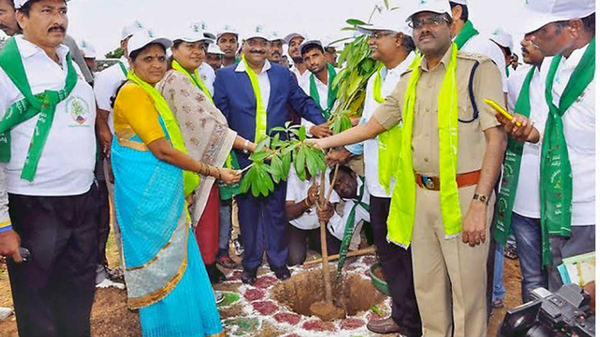 Colourful start to Haritha Haram in Telangana varsity - The Hindu