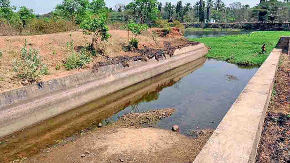 PAP right bank canal extension soon - The Hindu