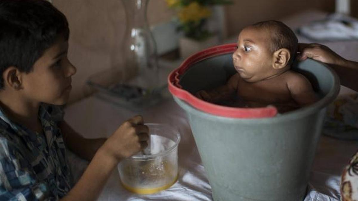 CDC probes possible first homegrown case of Zika in U.S. - The Hindu