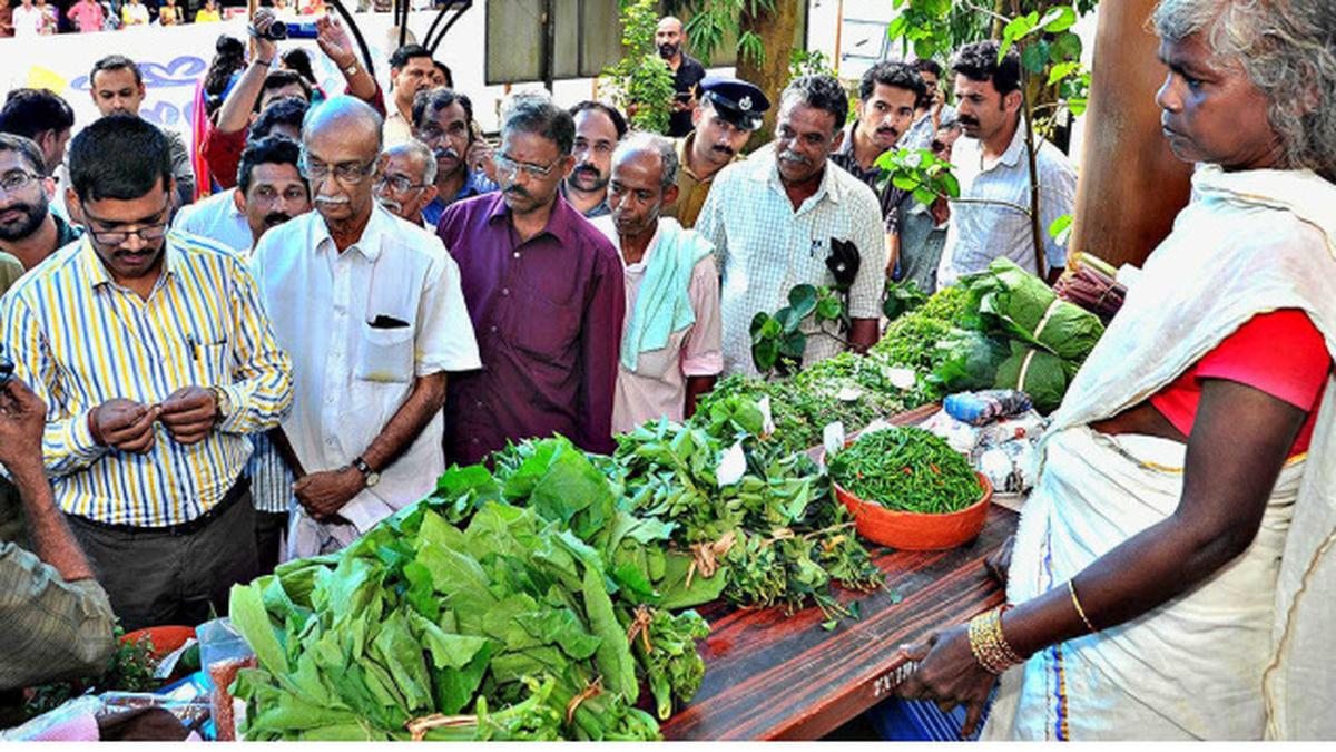 Showcasing the goodness of leafy vegetables - The Hindu