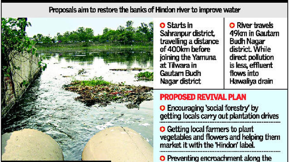 New plan to revive encroached, polluted Hindon - The Hindu