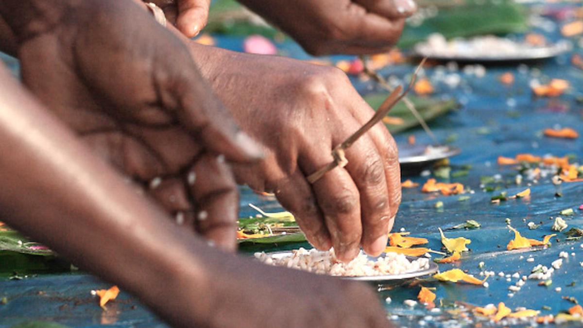 Elaborate arrangements for Karkidaka vavu bali - The Hindu
