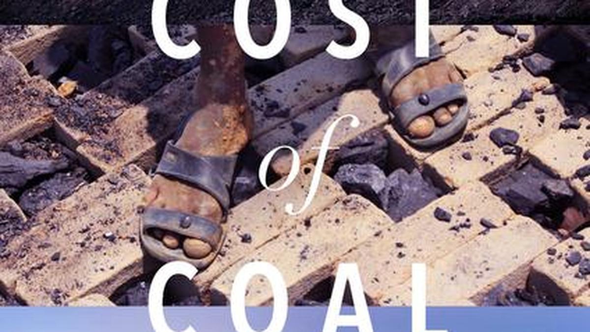 Namrata Joshi on cinema that takes you places - The Hindu