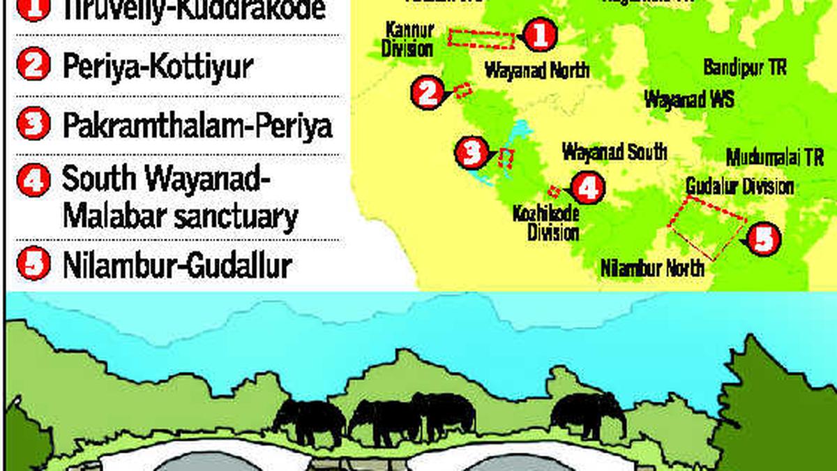 Wayanad elephant corridor project hits a roadblock - The Hindu