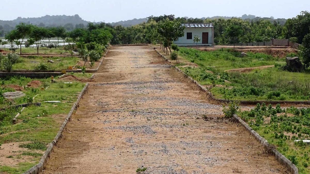 Nirmal district is KCR’s brain child - The Hindu